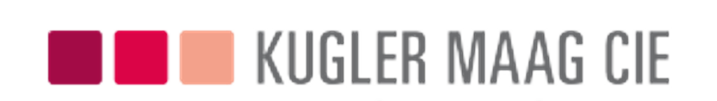 Automotive SPICE® & ISO 26262 Functional Safety Gap Analysis – ESL